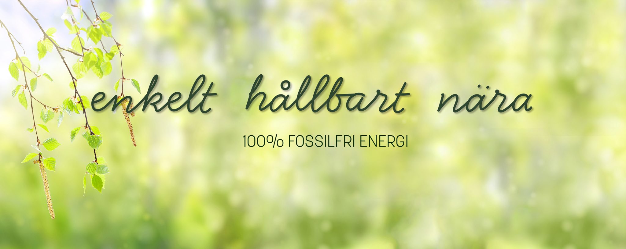 BestEl – Din personliga elleverantör!